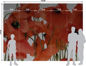 Fototapeta na míru Vlčí Mák | Vliesová fototapeta na zed' | DFTNS2461