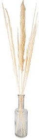 Přírodní béžová kytice sušené květy trávy – 90 cm