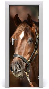 Samolepící fototapeta na dveře Kůň portrét 75x205 cm