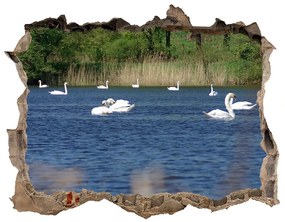 Wallmuralia Díra 3D fototapeta nálepka Bílé labutě 95x64 cm