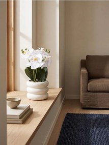 Sinsay - Dekorativní rostlina v květináči – orchidej - bílá