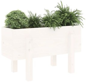 Zahradní truhlík bílý 62 x 30 x 38 cm masivní borové dřevo,  825178