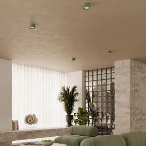 Sollux Lighting Stropní svítidlo MODO 1 šalvějové GX53