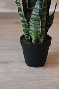 Umělá rostlina SANSI, výška 50 cm, plast, zelená