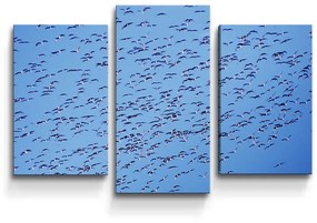 Sablio Obraz - 3-dílný Hejno ptáků - 75x50 cm
