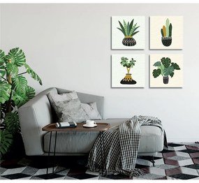 Obrazy v sadě 4 ks 30x30 cm Plants – Wallity