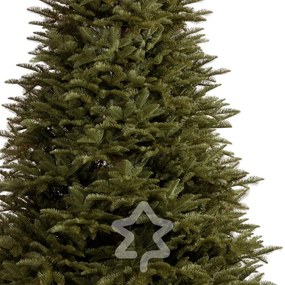 Jedle Kavkazská 100 % 220 cm