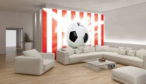 Fototapeta - Fotbal (152,5x104 cm)