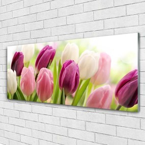 Plexisklo-obraz Tulipány Květiny Příroda Louka 125x50 cm