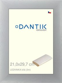 DANTIK rámeček 21x29,7 | LEDVINKA bílá (Sklo Čiré)