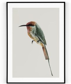 Plakát / Obraz Bird S okrajem Samolepící plátno A4 - 21 x 29,7 cm
