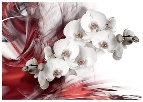 Fototapeta - Orchid in red