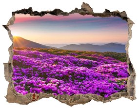 Wallmuralia Samolepící díra na stěnu Květiny v horách 95x64 cm