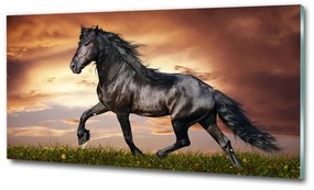 Wallmuralia Foto-obrah sklo tvrzené Klusající kůň 100x50