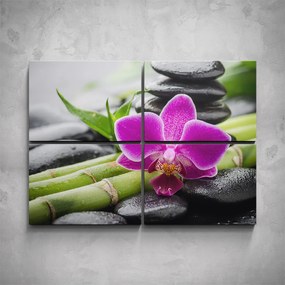 4-dílný obraz - Fialová orchidej - PopyDesign