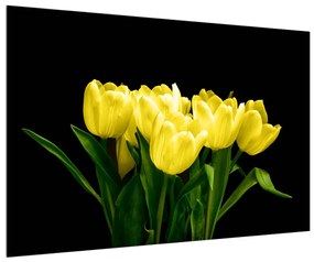 Obraz žlutých tulipánů (90x60 cm)