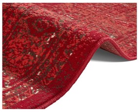 Červený koberec Hanse Home Celebration Plume, 160 x 230 cm