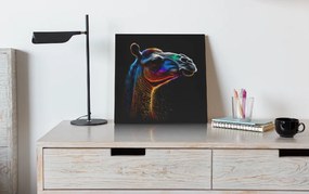 Obraz na plátně - barevný velbloud FeelHappy.cz Velikost obrazu: 100 x 100 cm