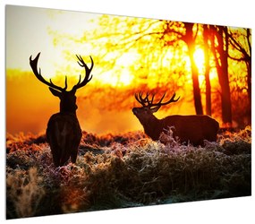 Obraz jelenů (100x70 cm)