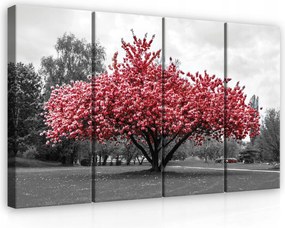 Obraz 120x80 Kvetoucí strom kvetení jaro příroda sakura park barva
