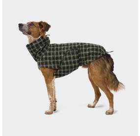 Obleček pro psy Cloud7 Glasgow kostkovaný zelený 1,5-40 kg Velikost: 3