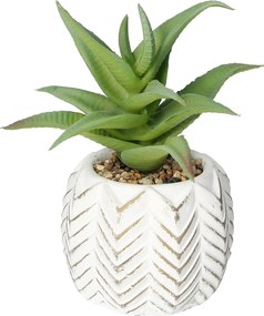 Dekorace Aloes I 14cm