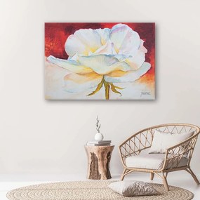 Gario Obraz na plátně Bílá pivoňka květ Rozměry: 60 x 40 cm