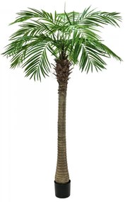 Umělá květina - Phoenix palma Luxor, 150 cm