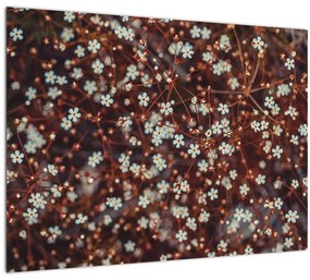Skleněný obraz květiny Pomněnka lesní (70x50 cm)