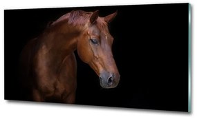Wallmuralia Foto-obrah sklo tvrzené Hnědý kůň 100x50