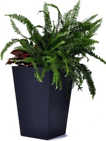 KETER - květináč Rattan Planter M, antracit