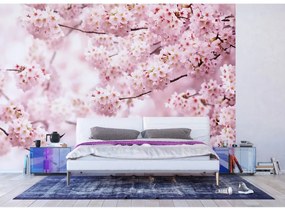 Vliesová fototapeta XXL Sakura 360 x 254 cm, 4 díly