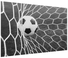 Fotbalový míč v síti (120x80 cm)