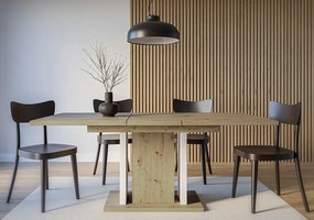 Casarredo - Komfort nábytek Rozkládací jídelní stůl JANGA artisan/bílá