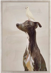 Zarámovaný digitální tisk Greyhound Dog And Dove