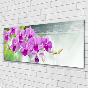 Plexisklo-obraz Orchideje Kapky Příroda 125x50 cm