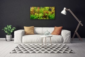 Obraz na plátně Akvárium Rybičky Rostliny 120x60 cm
