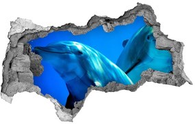 Wallmuralia Díra 3D fototapeta nástěnná Dva delfíni 95x73 cm