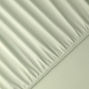 Florella Prostěradlo Avance Jersey Elastan Pastel Grün, 90-100x200-220 cm