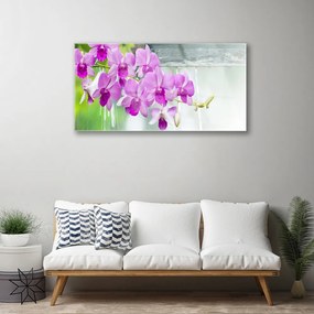 Obraz na skle Orchideje Kapky Příroda 125x50 cm