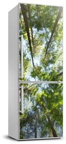 Wallmuralia Nálepka na ledničku samolepící Koruna stromů 60x180 cm