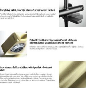 Deante Cascada, nástěnná vanová baterie s otočnou výlevkou, zlatá matná, DEA-BCH_R1BT