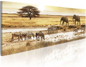 Obraz - Africa: at the waterhole