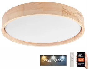 Brilagi - LED Stropní svítidlo MANAROLA SMART LED/24W/230V + DO Tuya