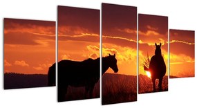Obraz - koně při západu slunce