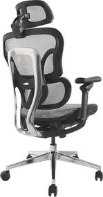 Equip Ergonomická kancelářská židle šedá / Kancelářská židle / síťový