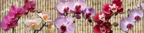 Fototapeta na linku Orchid 260 x 60 cm KI260-026