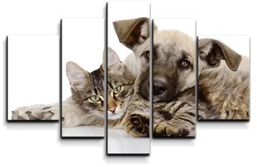 Sablio Obraz - 5-dílný Kočička a štěňátko - 125x90 cm