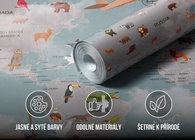 Dětská fototapeta na míru Aeromapa | Vliesová fototapeta na zed' | DFTD5P352241