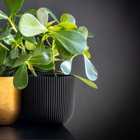 Capi Nature Groove Vase Ball Intense Black Ø 12 cm / V 10 cm